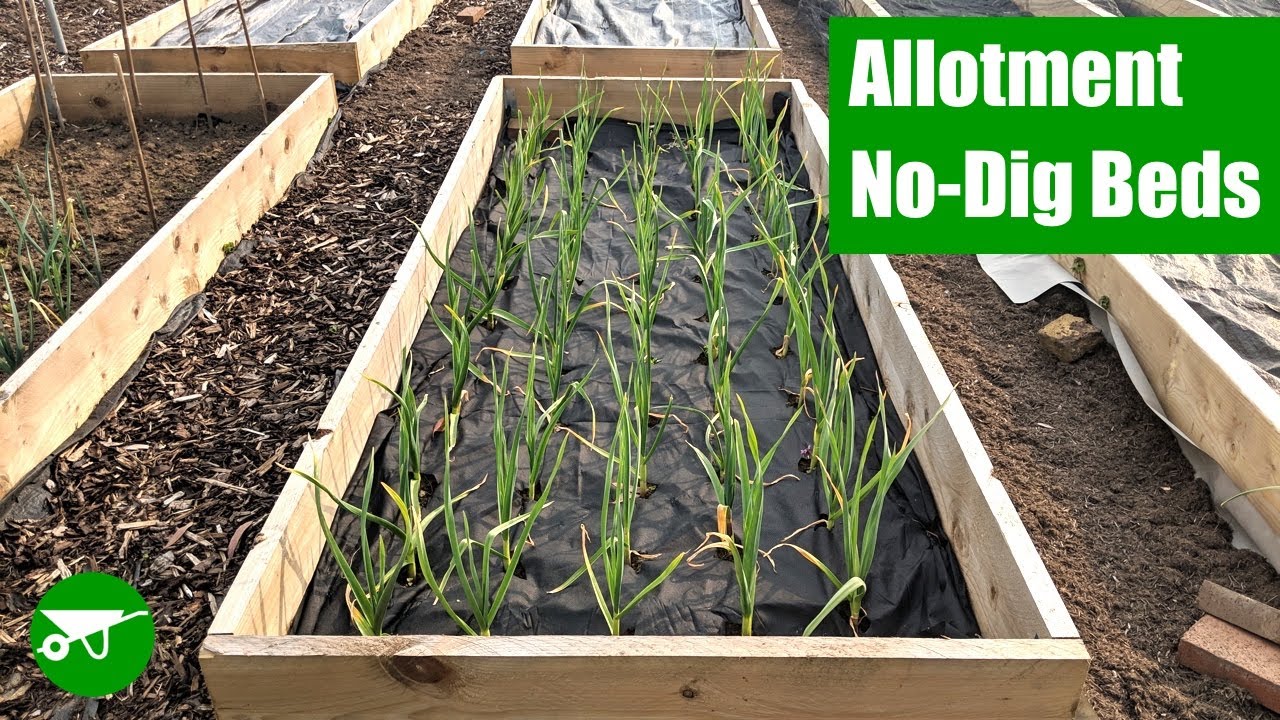 Allotment No Dig Beds Allotment Book Allotment No Dig Beds Allotment Book