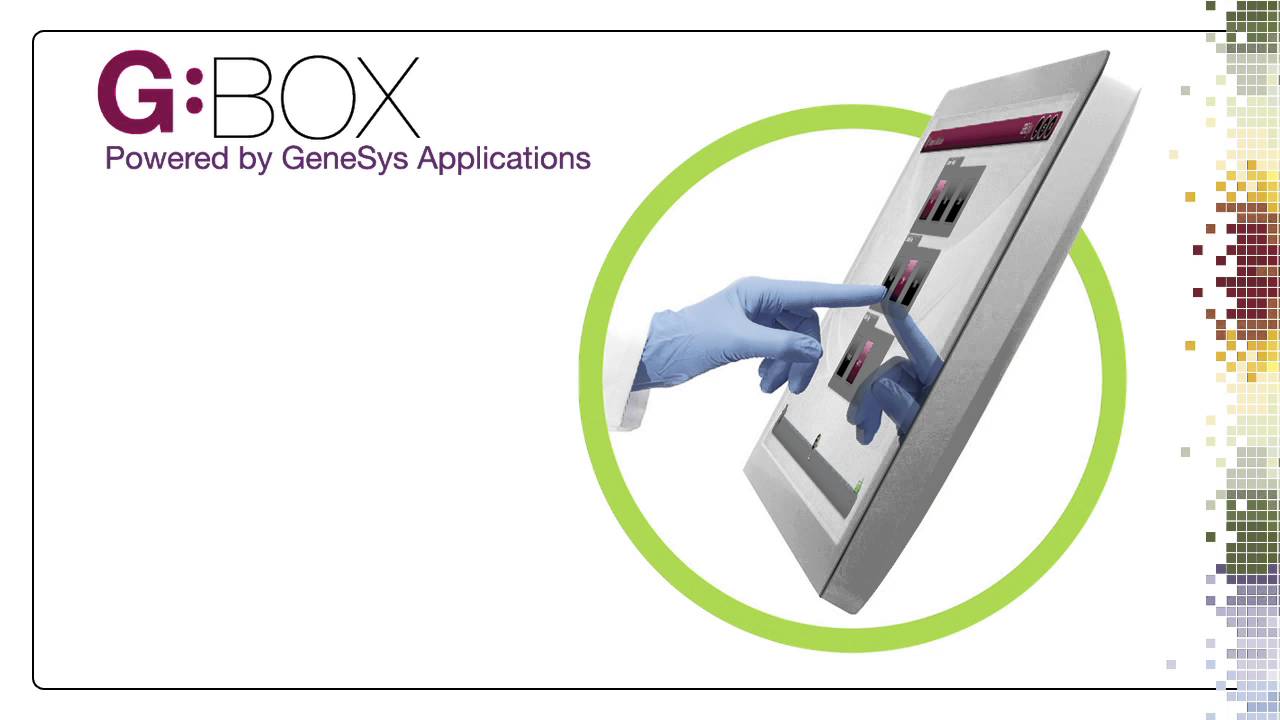 Syngene G:BOX Gel & Blot Imaging Systems - YouTube