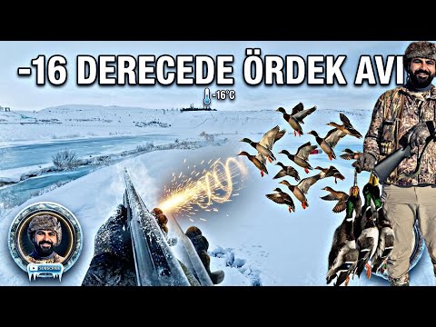 -16°C’de Hayatta Kalma Gibi Ördek Avı! Kar, Bek,Domuz ve Unutulmaz Bir Gün
