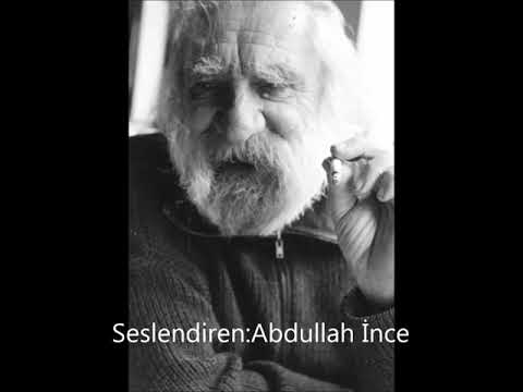 Can Yücel - İğneli Şiir