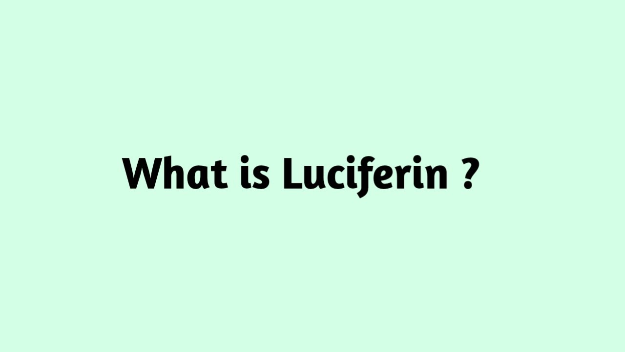 What is Luciferin ? - YouTube