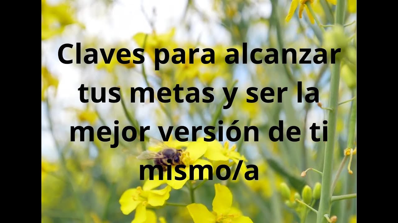 Claves para alcanzar tus metas y ser la mejor versión de ti mismo ...