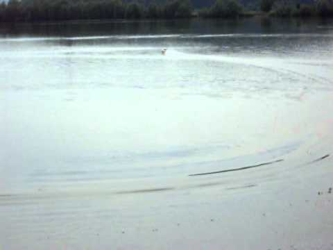 Robbe Magnum mit 700er Neodym und 19,2 Volt(Wasserkühlung vorhanden ...