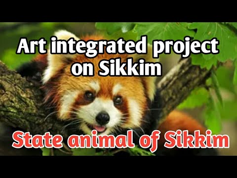 Art integrated project on Sikkim of Science | State animal of Sikkim ...