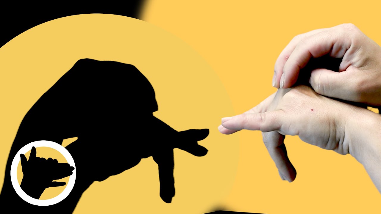 How to Make an ELEPHANT with Your Hands 🔦🤏🐘 Shadow Puppets Tutorial ...