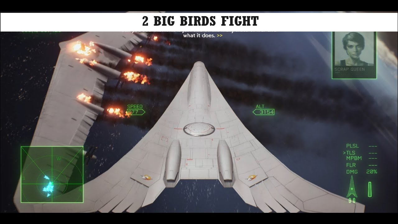 Two big birds fighting - YouTube