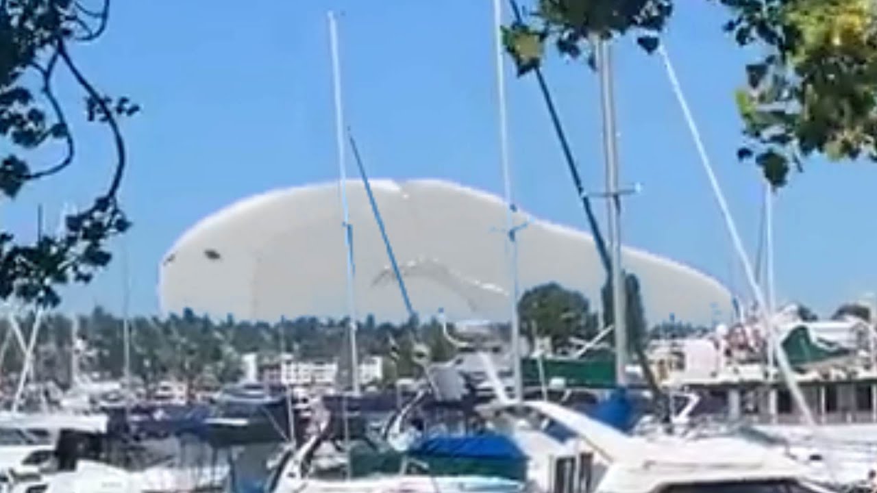 Bridge worm Sweaveryer sighting in real life - YouTube