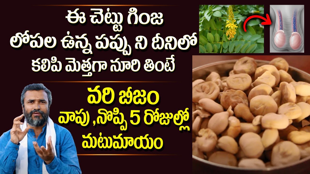 ఈ గింజ లోపల ఉన్న పప్పుతో వరిబీజం నొప్పి, వాపు వెంటనే తగ్గిపోతుంది ...