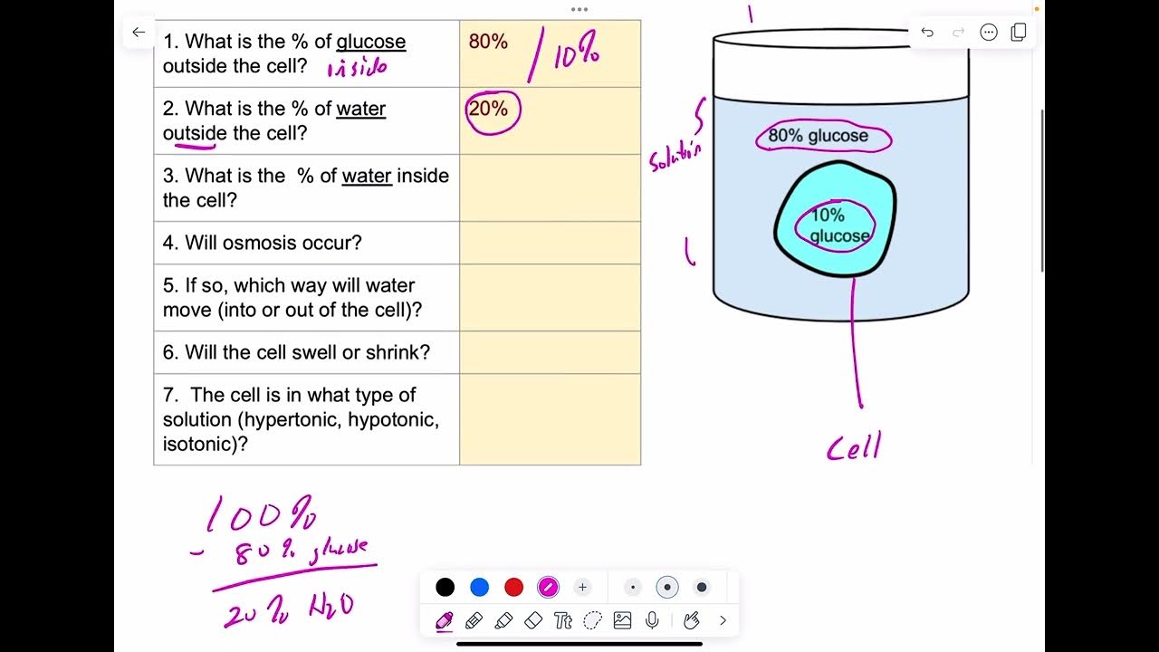 Osmosis Prediction Practice - YouTube