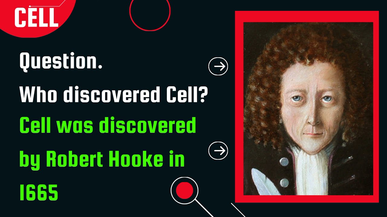 Who Discovered Cell Discovery Of Cell In 1665 How Cell Was Discovered who-discovered-cell-discovery-of-cell-in-1665-how-cell-was-discovered