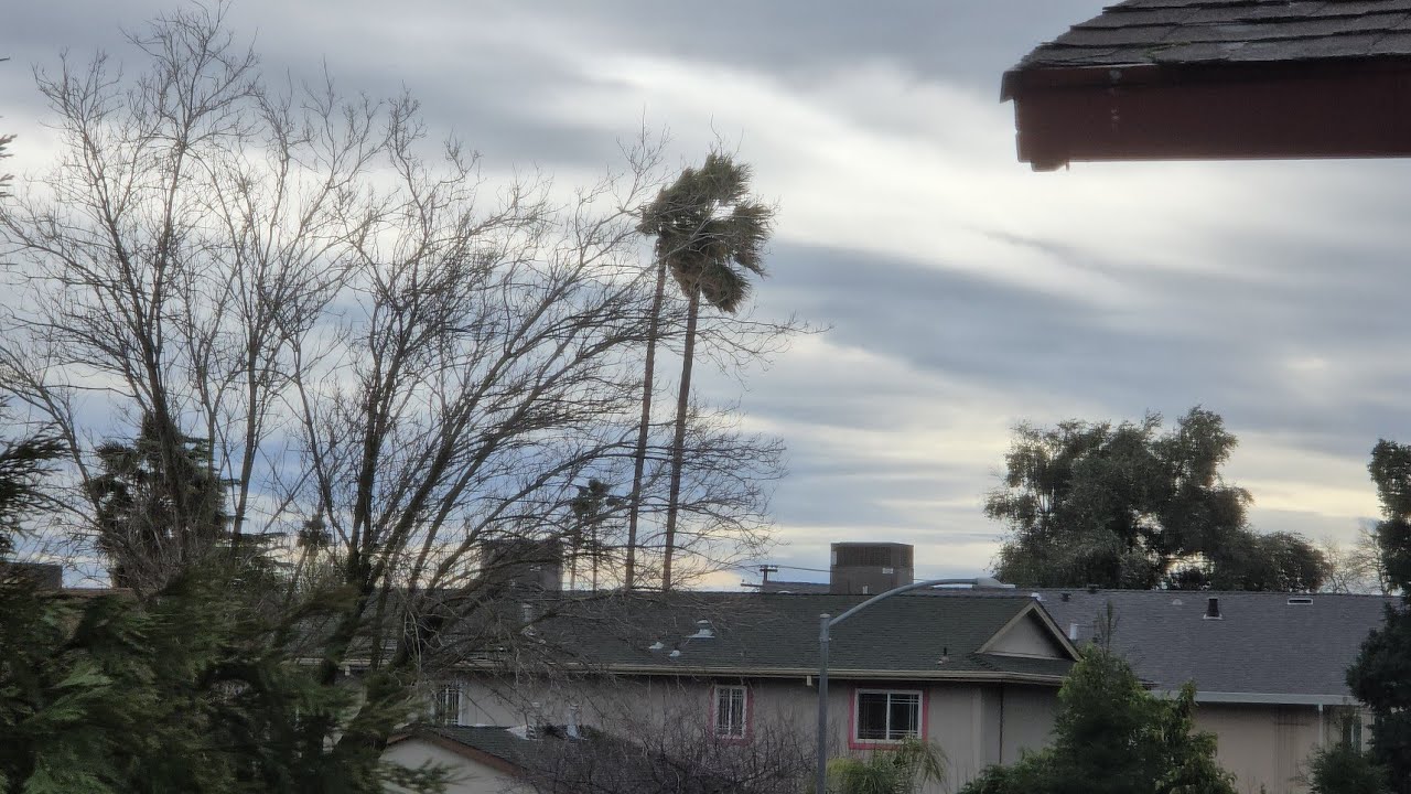 11:47am Feb 4, 2025 - Windy SSE To SE Winds & Cloudy - YouTube