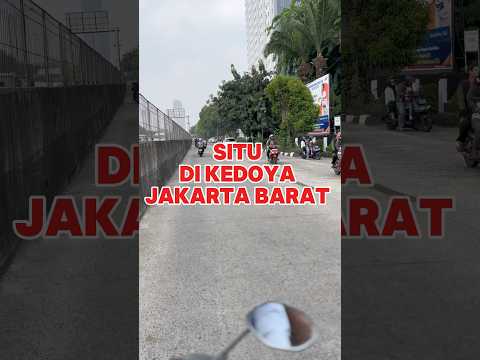 Situ di daerah Kedoya Jakartabarat