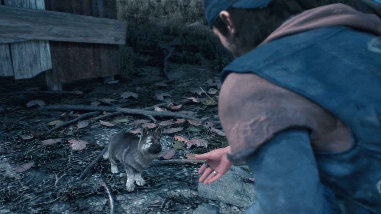 DAYS GONE - Deacon found a puppy - YouTube