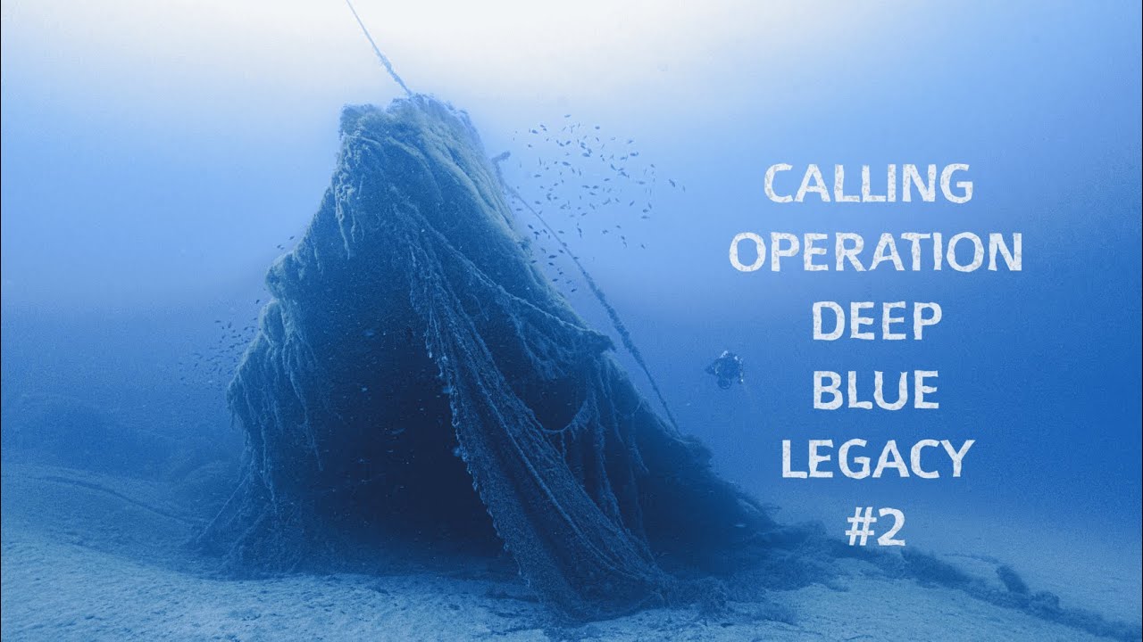 Calling Operation Deep Blue Legacy with Simone Brandes, DWS Group! 📞 🌊 ...