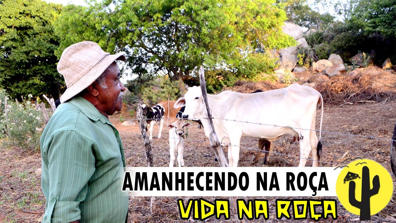 [VIDA NA ROÇA] Amanhecendo na ROÇA | Agricultor Luiz mostra seu Sítio e ...