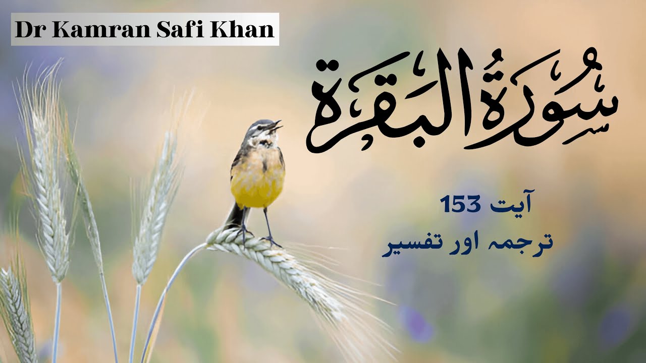Surah al Baqrah Ayat 153 Tarjuma & Tafseer | Bayan ul Quran by DR ...