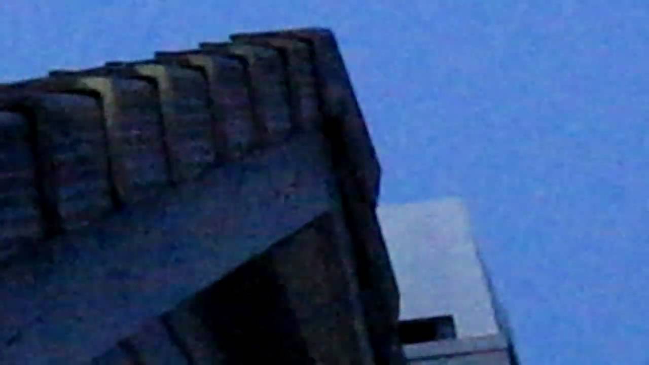 Bats living under roof tiles - YouTube