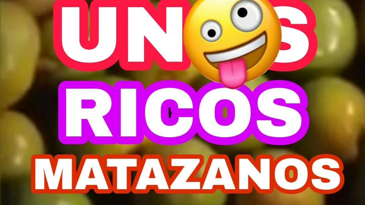 conociendo el Salvador comer matazanos nos trae propiedades curativas ...