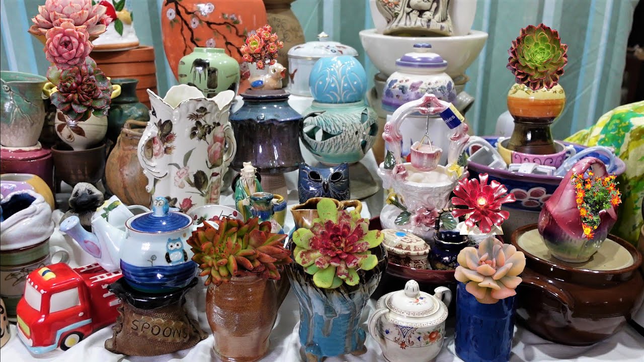 Beautiful SUCCULENT POTS Show & Tell | Growing Succulents with LizK ...