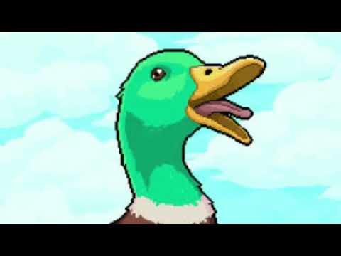 Quack BBS DUCK MEME SCREEN [Download] Duck clip - YouTube