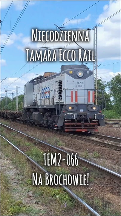 TAMARA ECCO RAIL TEM2-066 NA BROCHOWIE! - YouTube