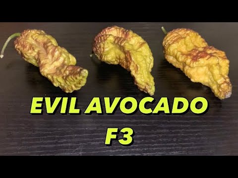 A trio of Evil Avocado F3s by Dean from Conjured Vaporz! Do your ...