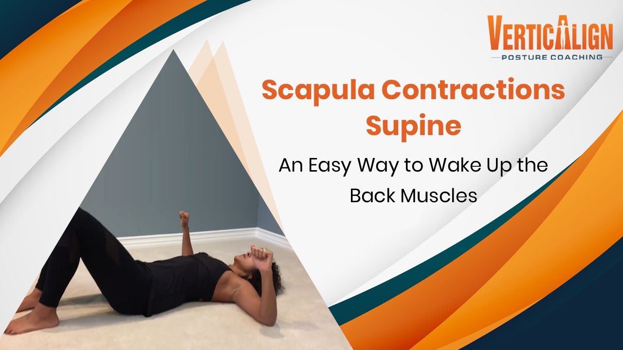 Scapula Contractions Supine | An Easy Way to Wake Up the Back Muscles ...