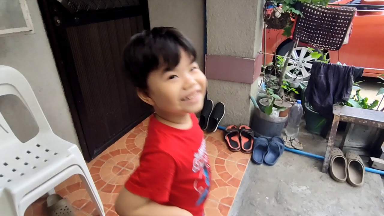 meet my pets dory fish and lightning mcqueen fish 🐟🐟 - YouTube