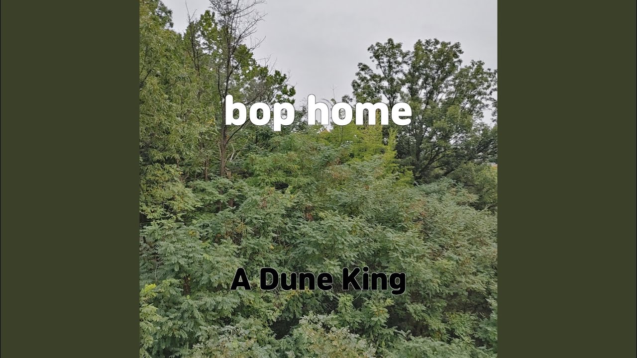 bop home - YouTube
