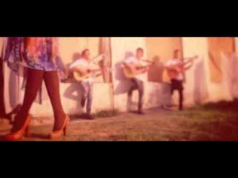 Elcin Ceferov Yadina Sal Official clip)