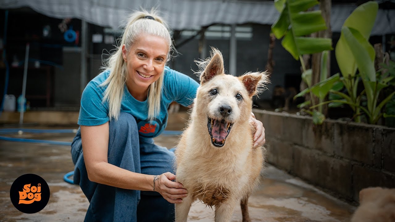 Fill Daymon's Food Bowl for his 18th Birthday - YouTube