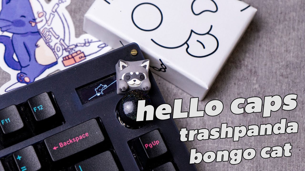 Hello Caps - Trashpanda Bongo Unboxing - YouTube