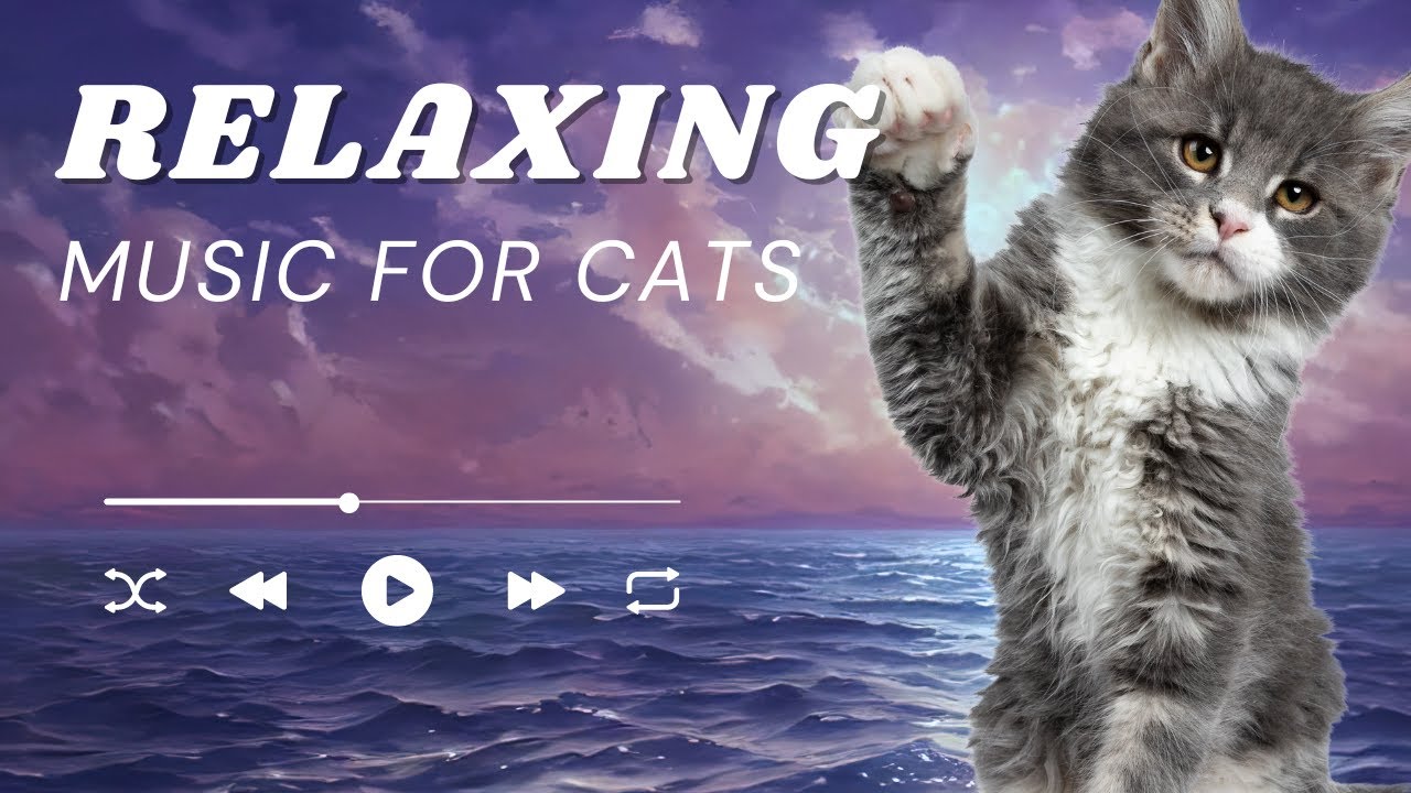 1 Hour of Relaxing Music for Cats (And Humans) - YouTube