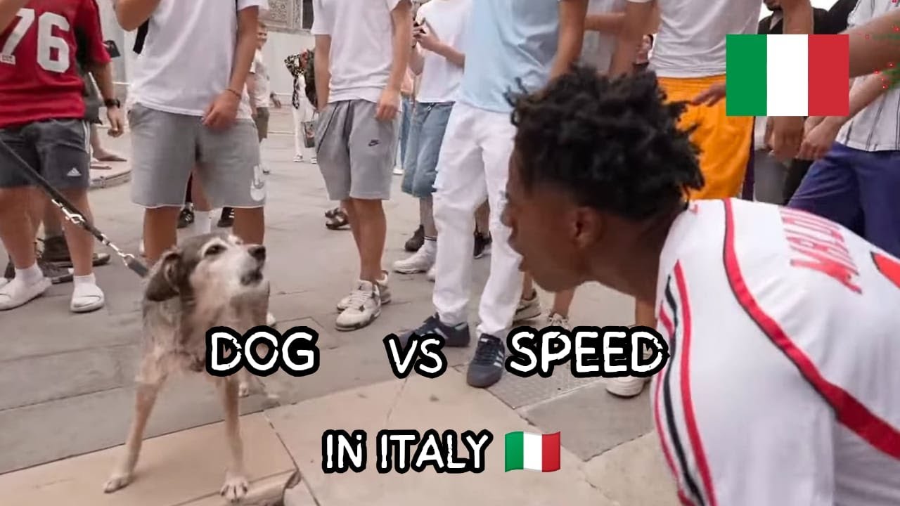 iShowSpeed Vs Dog in Italy - YouTube