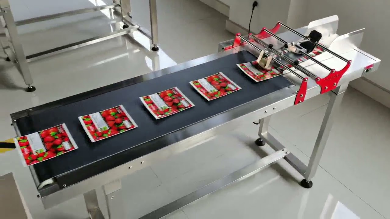 Automatic Card Friction Feeder Machine Packaging Industry 0.06mm - YouTube