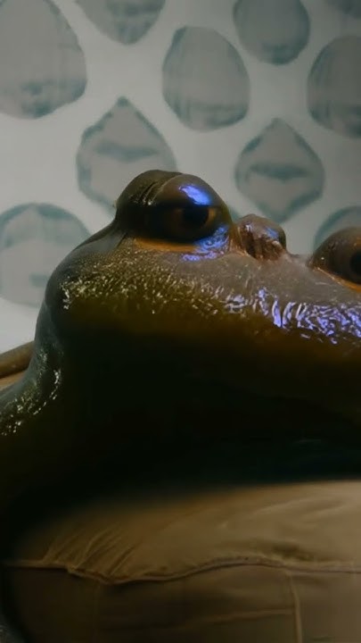 Slugg Animation Aivideo Runwaymlgen3 Deeplearning Machinelearning Shorts Runwayml