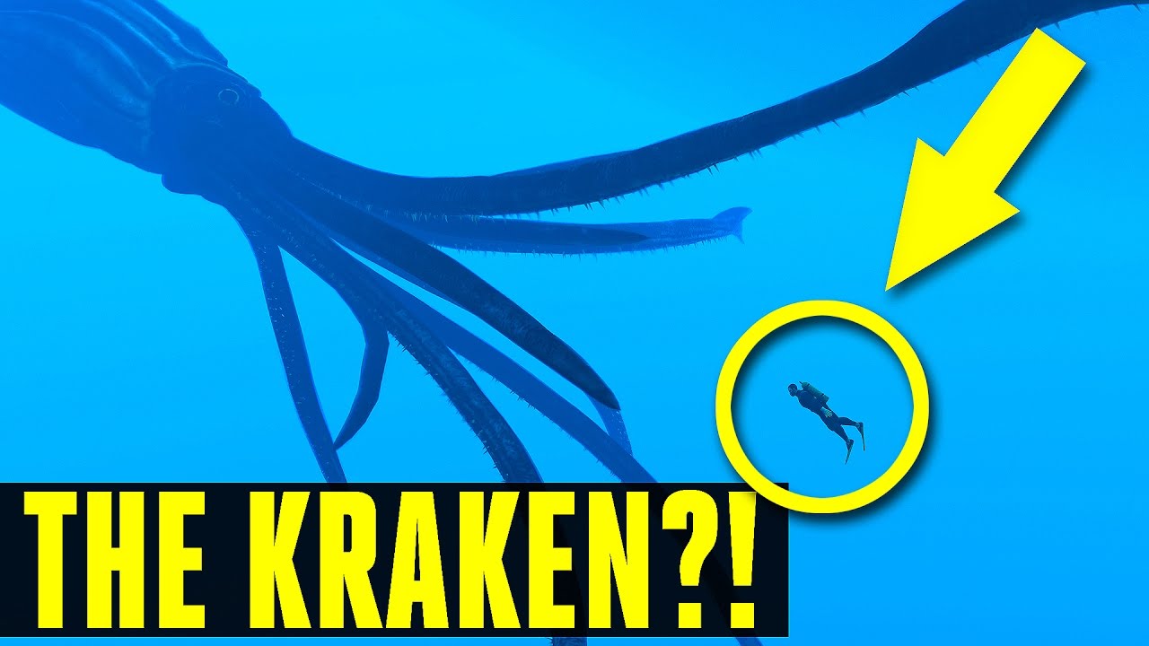 STAY AWAY! GIANT SQUID WILL VIOLATE YOU! FIRST LOOK! Ark Survival ...