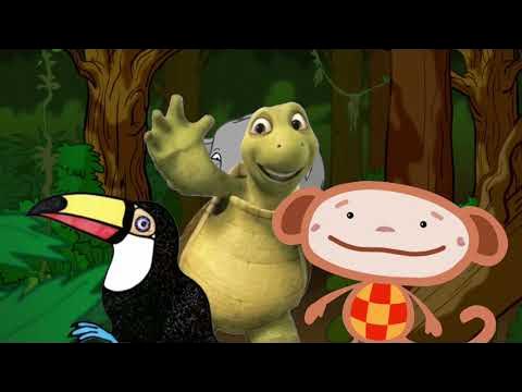 The Rainforest Song | 2007 - 2025 - YouTube