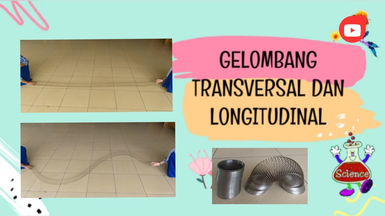 GELOMBANG TRANSVERSAL DAN LONGITUDINAL #gelombangtransversal #ipakelas8 ...