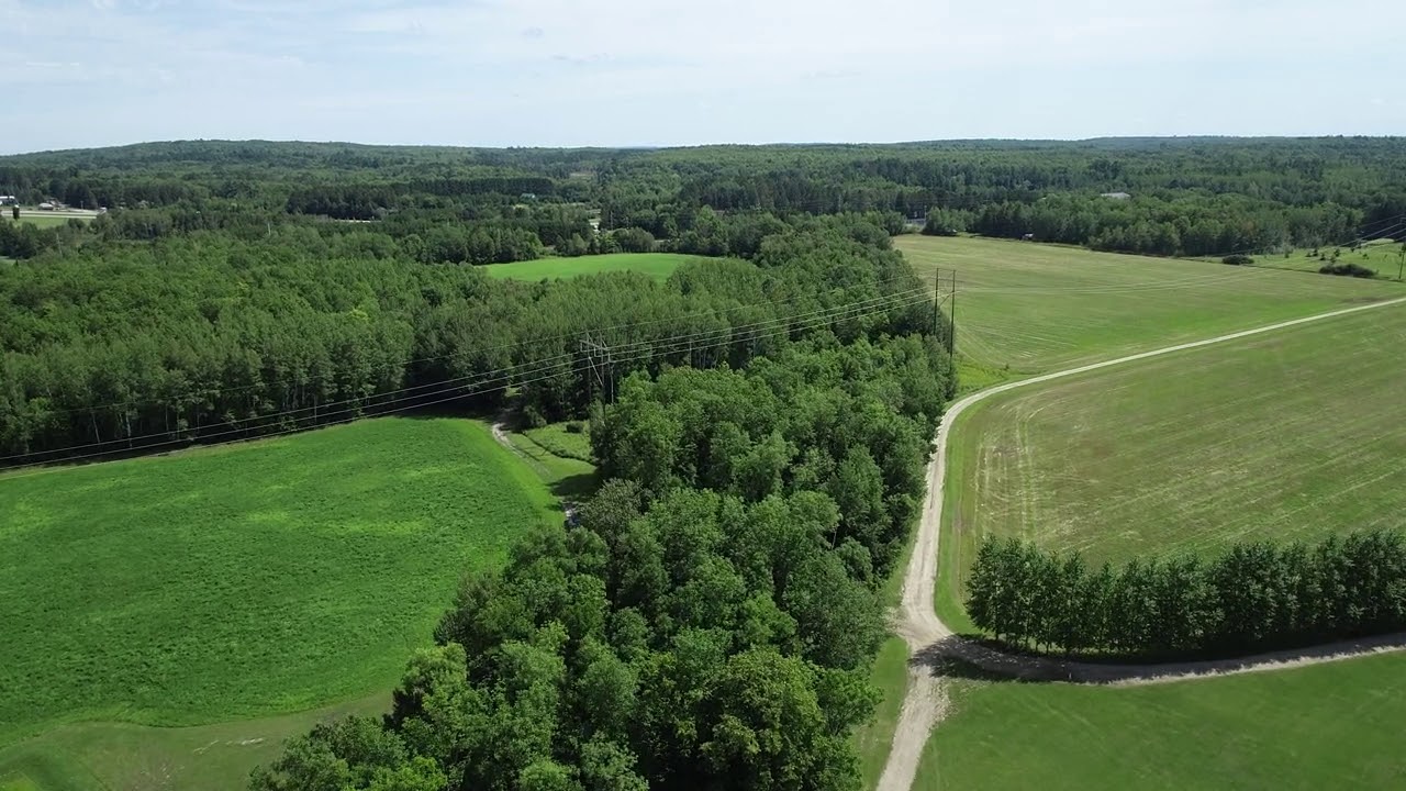 NCROC 2020 Wild Rice Paddies - YouTube