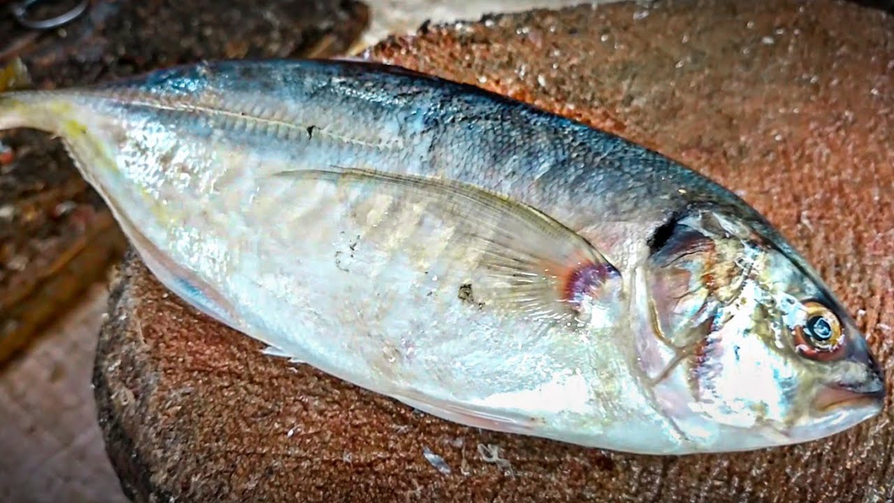 Super Cutting Skills ||Big Marine (Narkeli) Fish Cutting By Expert Fish ...