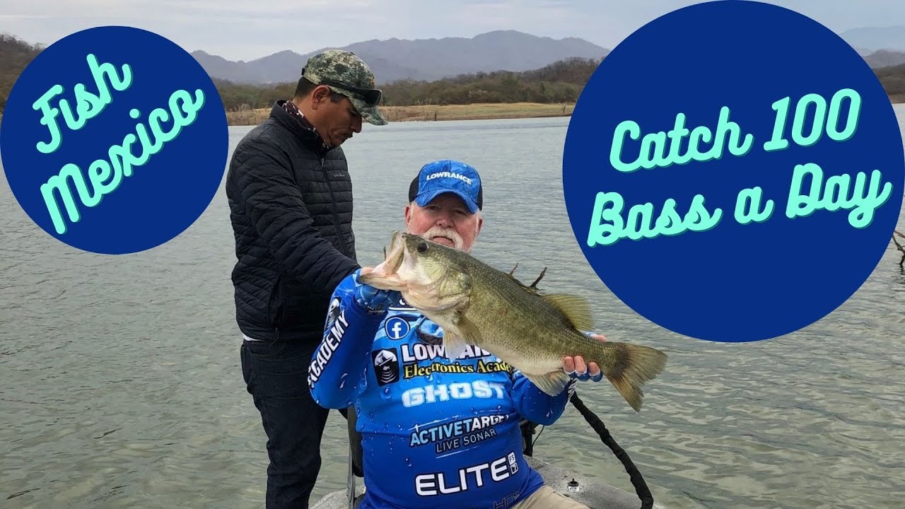 Catch 100 Bass a Day - YouTube