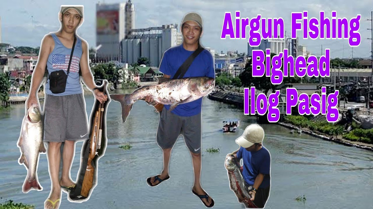 Air gun fishing | Maya maya fish | Bighead fish sa ilog pasig - YouTube