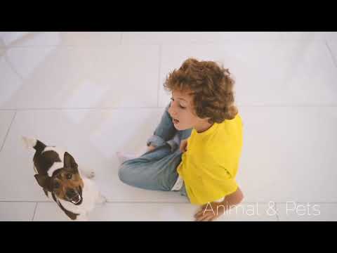 A BOY PLAYING WITH HIS DOG -ANIMAL & PETS HIGHLIGHT Ep1