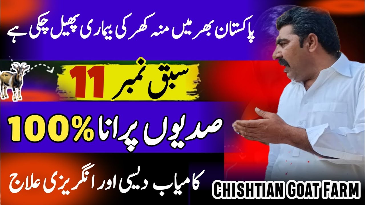 FMD in goats massive destruction treatment and protocol - YouTube