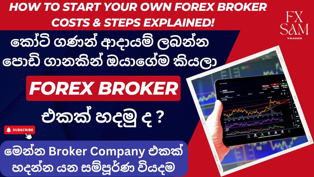 How to Start Your Own Forex Broker | Costs & Steps Explained / Free ...