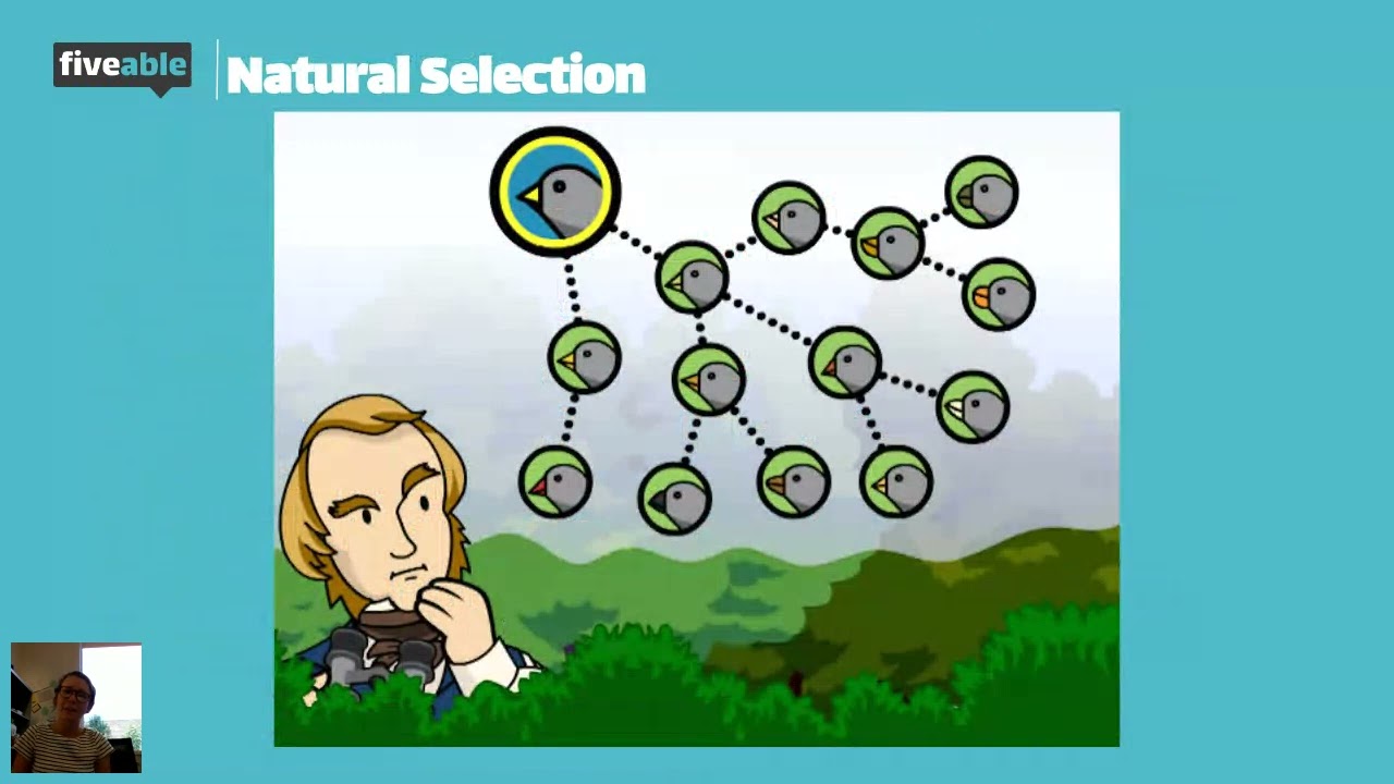 AP Biology - Microevolution & Natural Selection | Fiveable Cram Archive