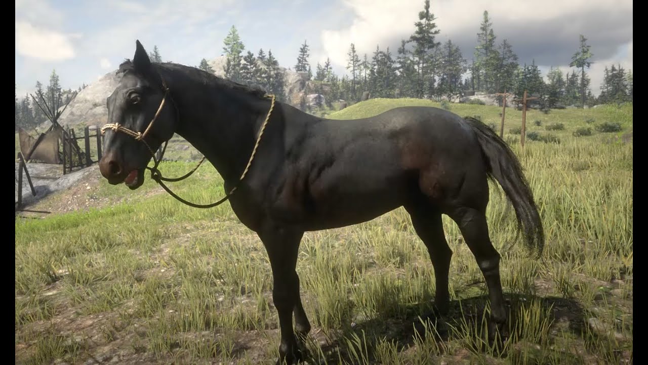 RDR2- Easy Way to Get a Seal Brown Dutch Warmblood in Early Chapter2 ...
