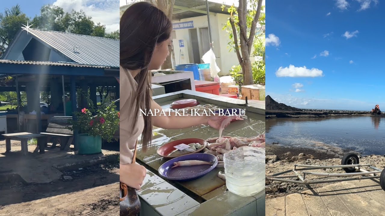 DAPAT ILMU YANG BERMANFAAT CARA MASAK & MAKAN IKAN BERSISIK// IKAN ...