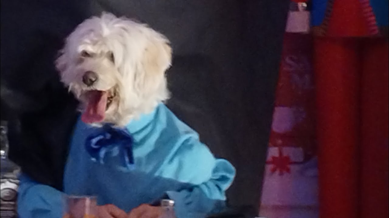 Némo au restaurant de Noël - YouTube